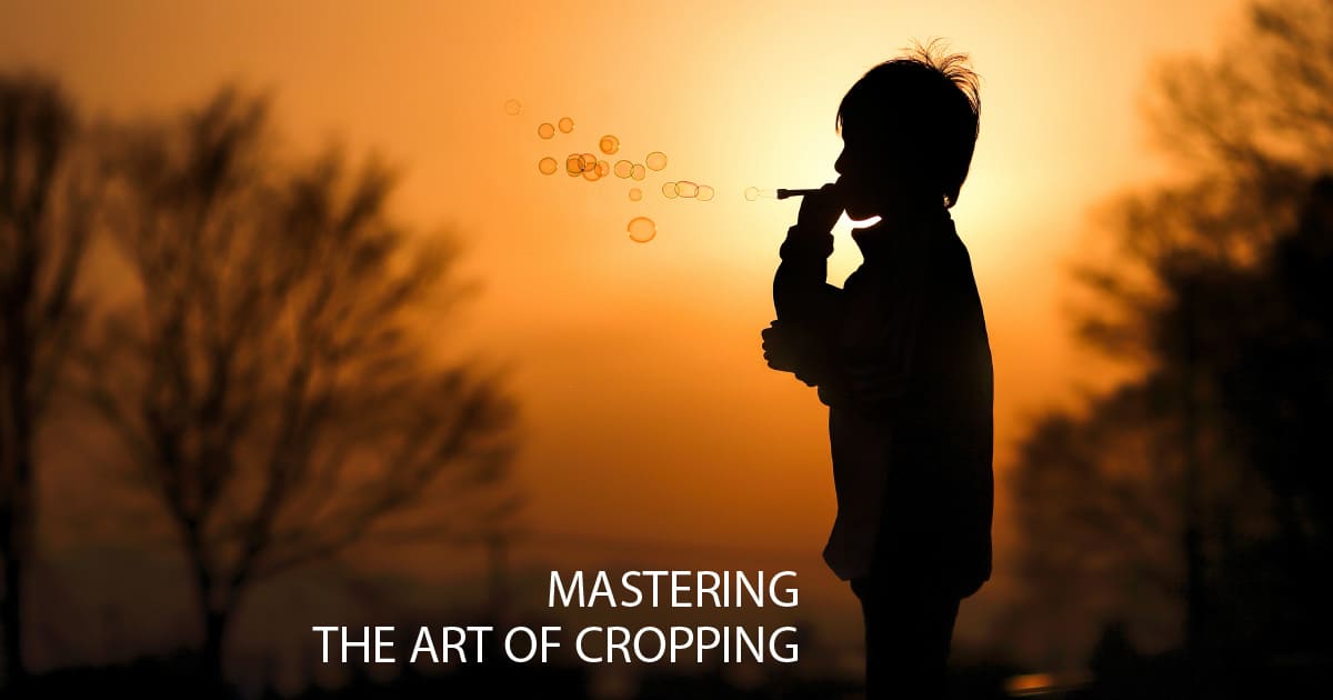 Mastering Cropping: Photography Techniques | Light & Composition University