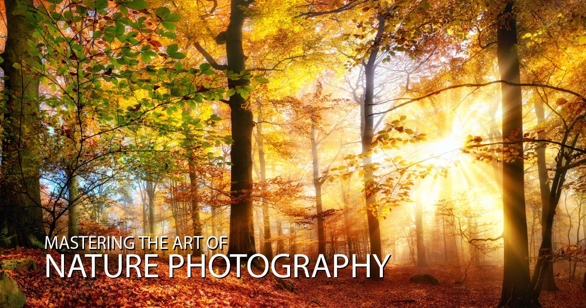 Nature Photography Course | Online Classes | Light & Composition University
