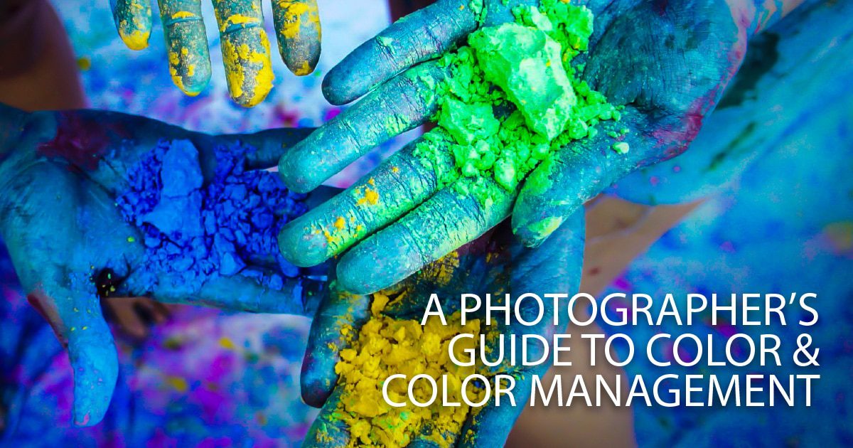 Color Photography Guide | Mastering Color & Composition | Light ...