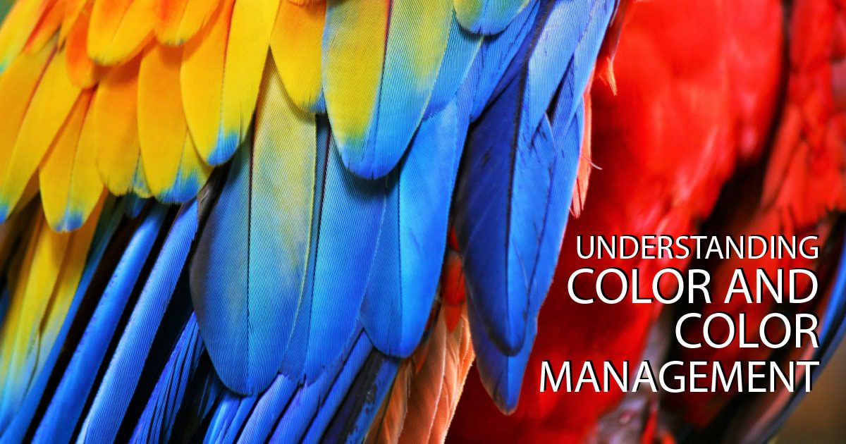 Color Photography Course | Online Photography Education | Light ...